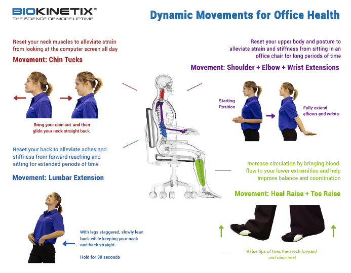 3E Spotlight: Prevent Low Back Pain While Sitting